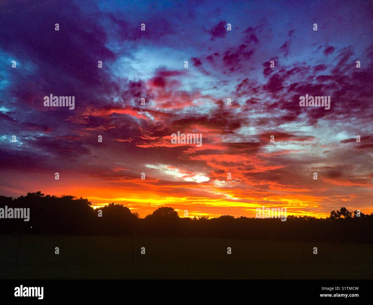 Colorful florida sunset hi-res stock photography and images - Alamy