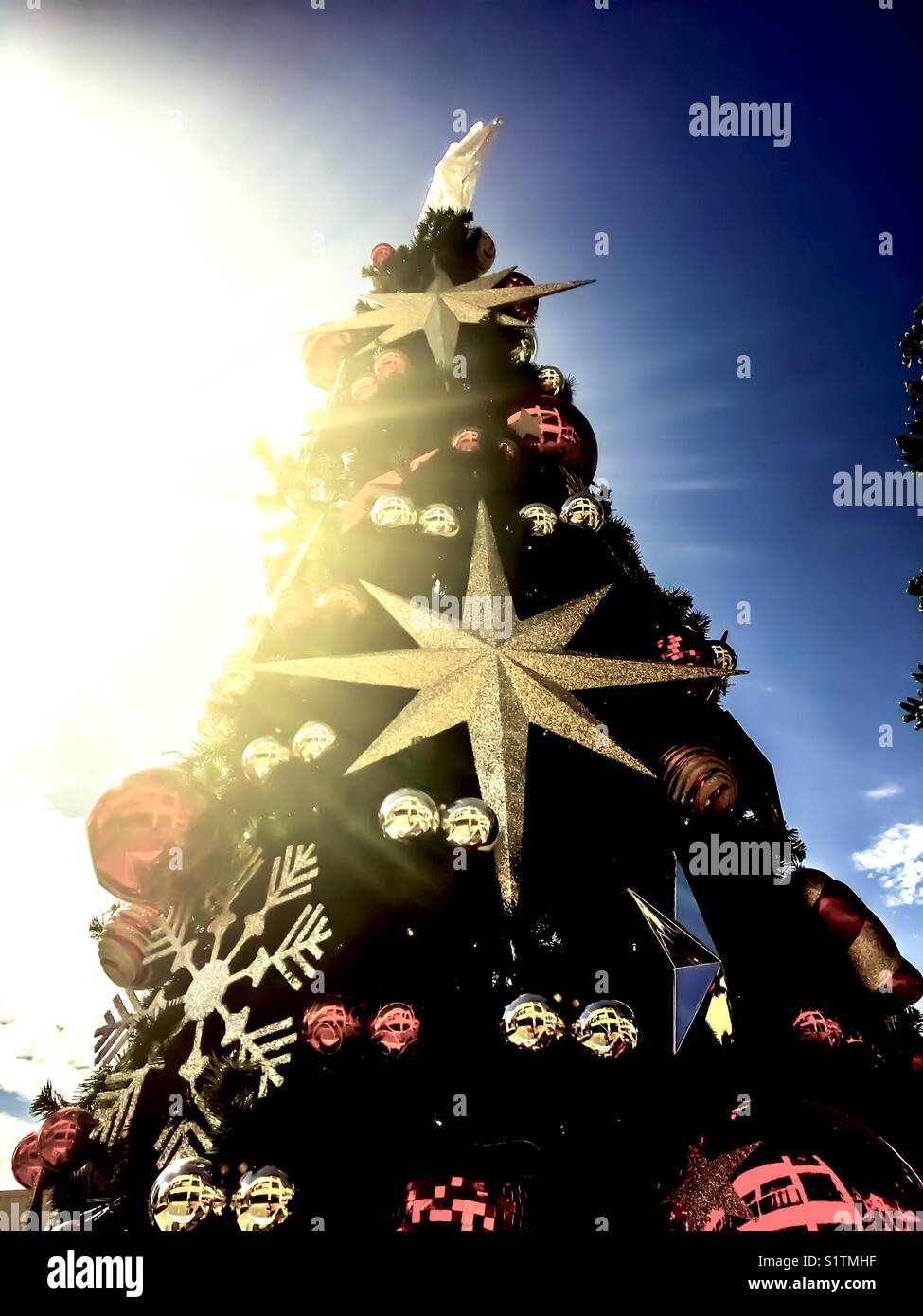 Falling christmas tree hi-res stock photography and images - Alamy
