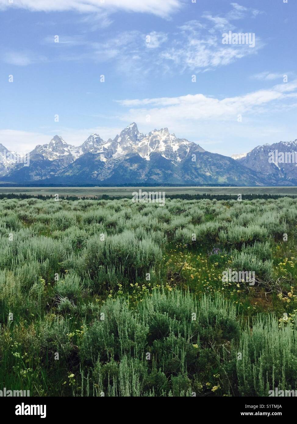 Mountain background, green field Stock Photo - Alamy