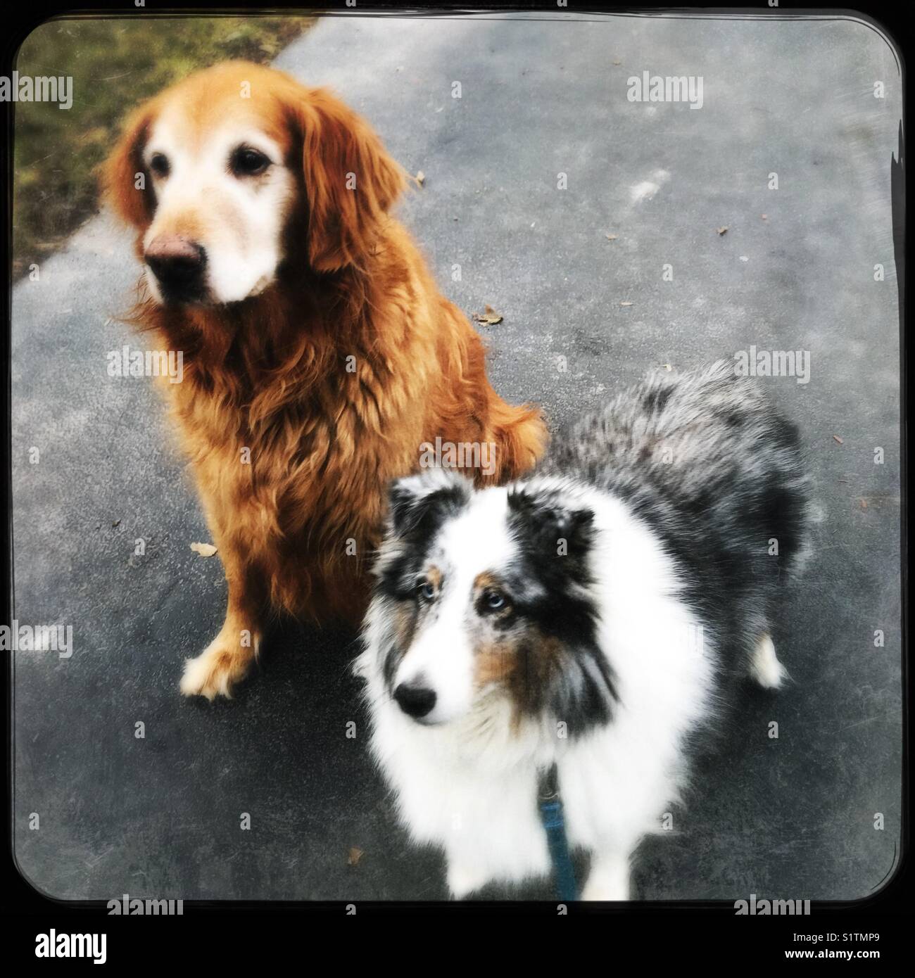 Friends waiting hi-res stock photography and images - Alamy