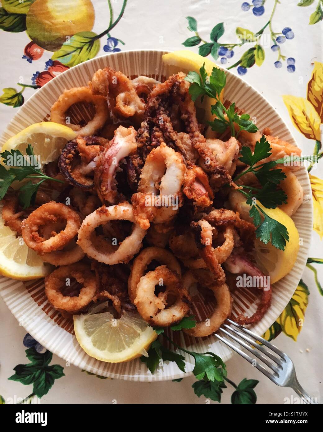 Southern calamari hi-res stock photography and images - Alamy