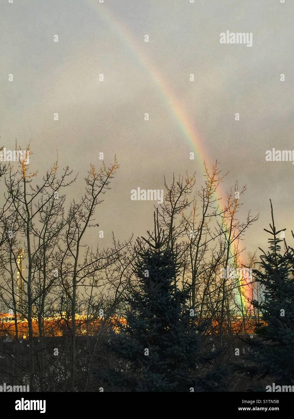 Snowbow in winter Stock Photo - Alamy