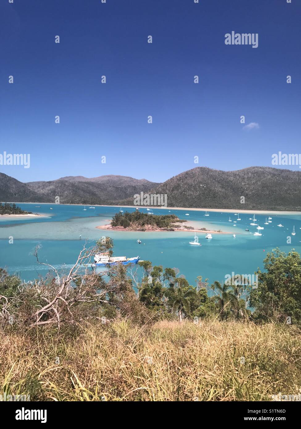 Shute harbour hi-res stock photography and images - Alamy