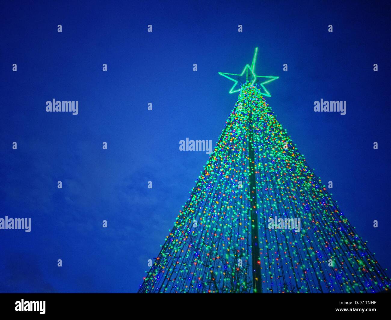 Large outdoor public Christmas tree Stock Photo - Alamy