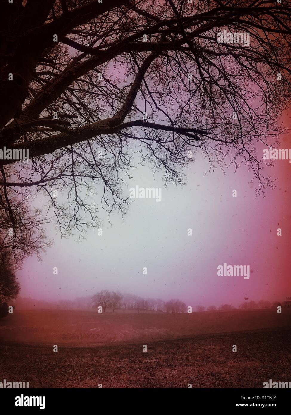 Winters glow hi-res stock photography and images - Alamy