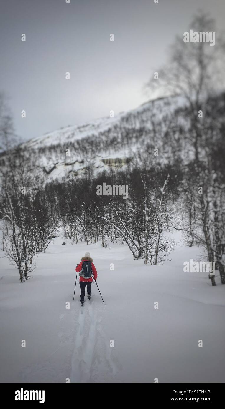Cross country skier Stock Photo - Alamy