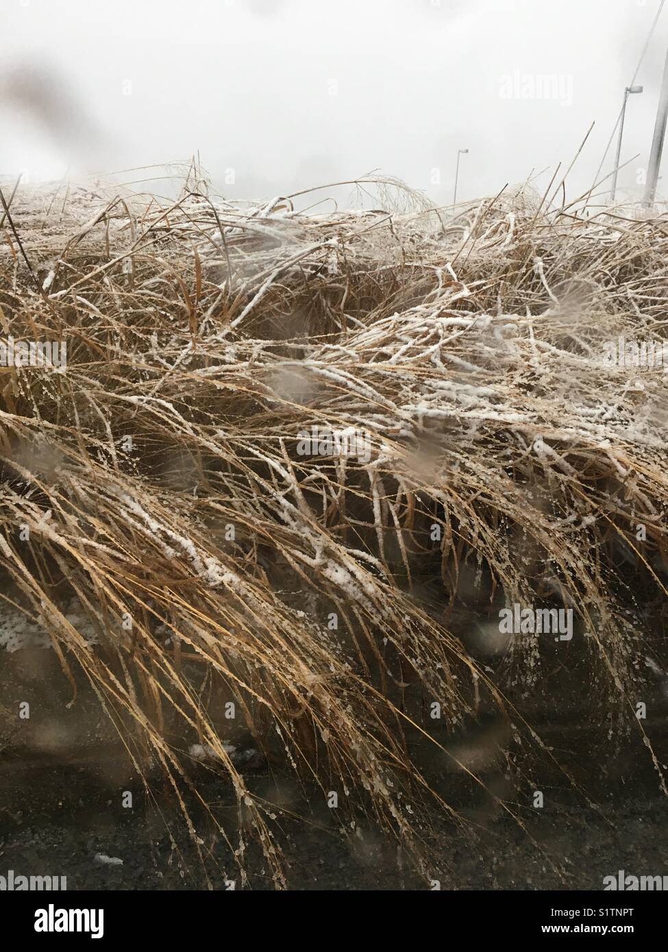 Field rain hi-res stock photography and images - Alamy
