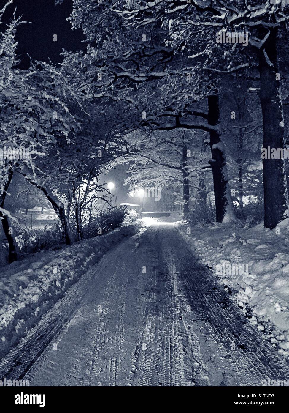 Winter has come Stock Photo - Alamy