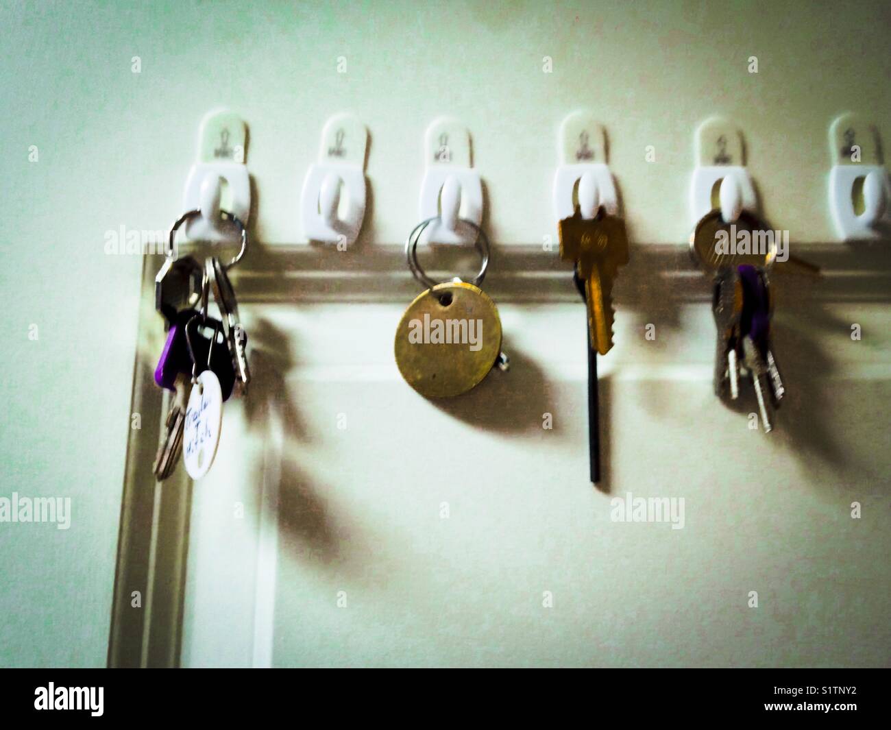 Organize organization hi-res stock photography and images - Alamy