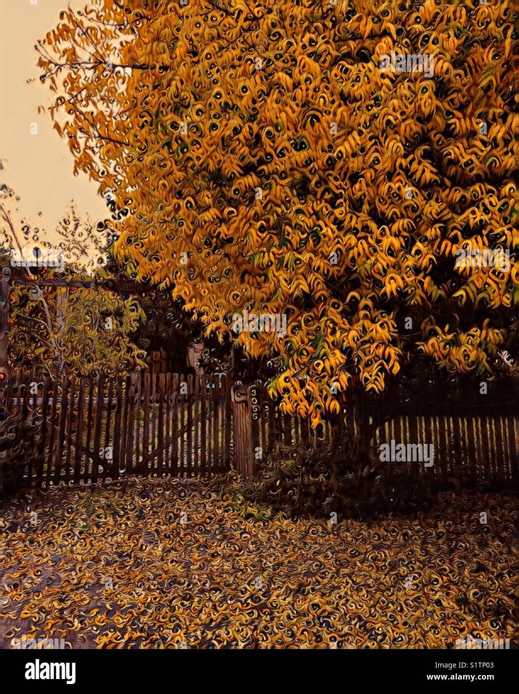 A painting style of Autumn scene of trees and the garden Stock Photo ...