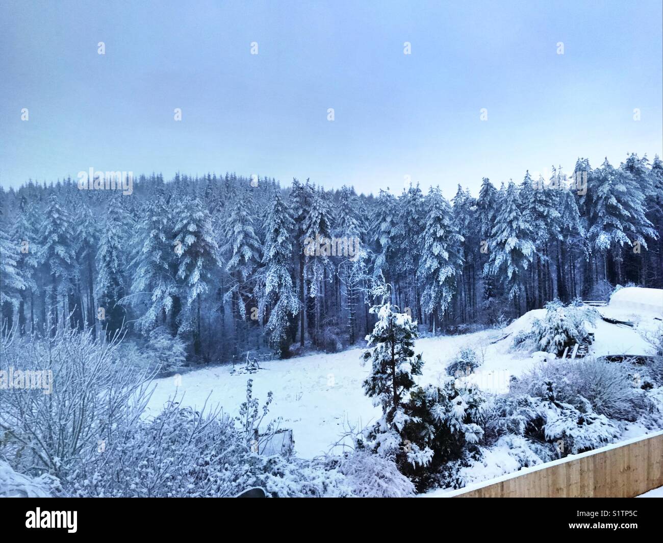 Christmas snowscape hi-res stock photography and images - Alamy