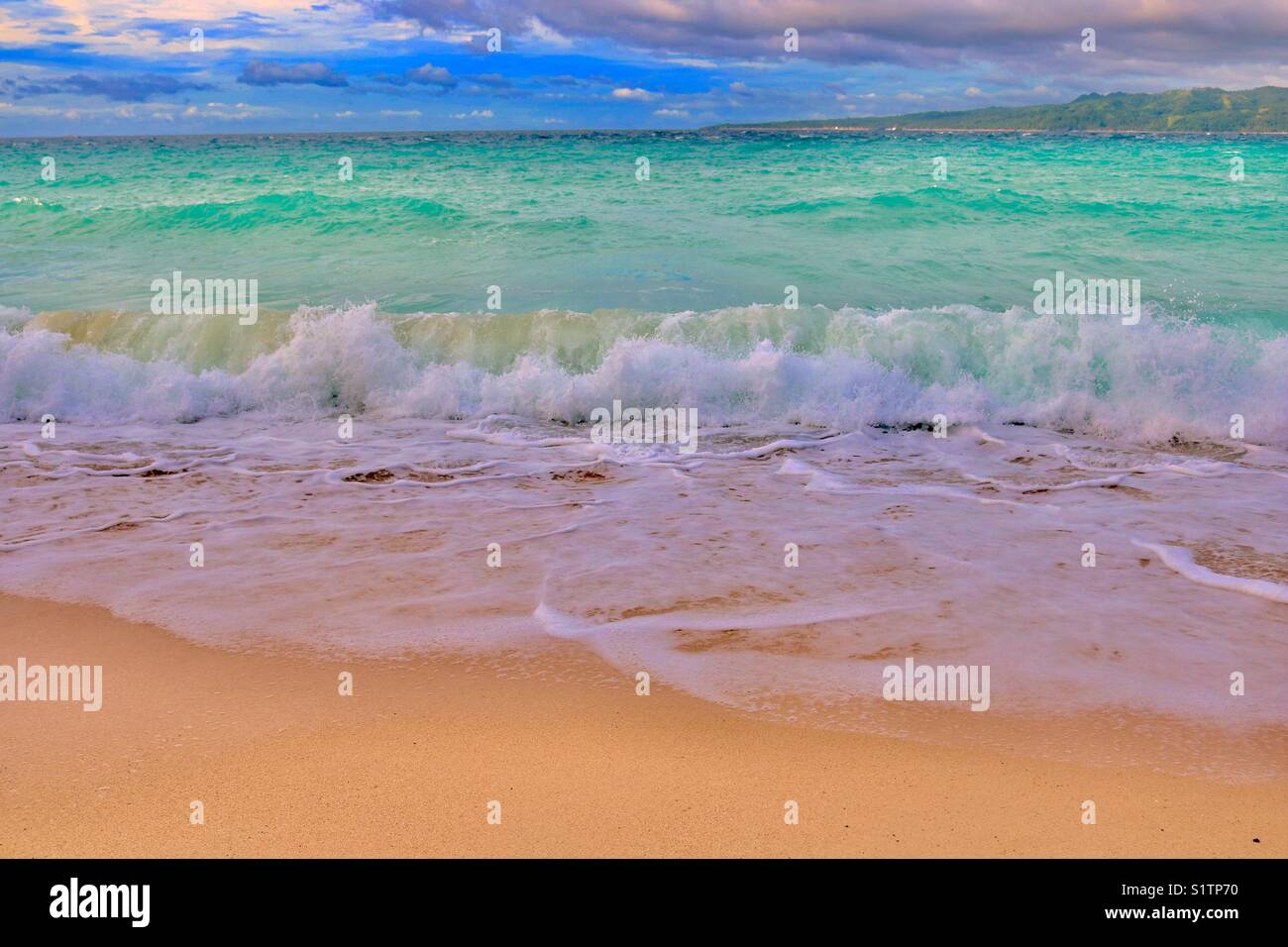 Philippines beach shell hi-res stock photography and images - Alamy