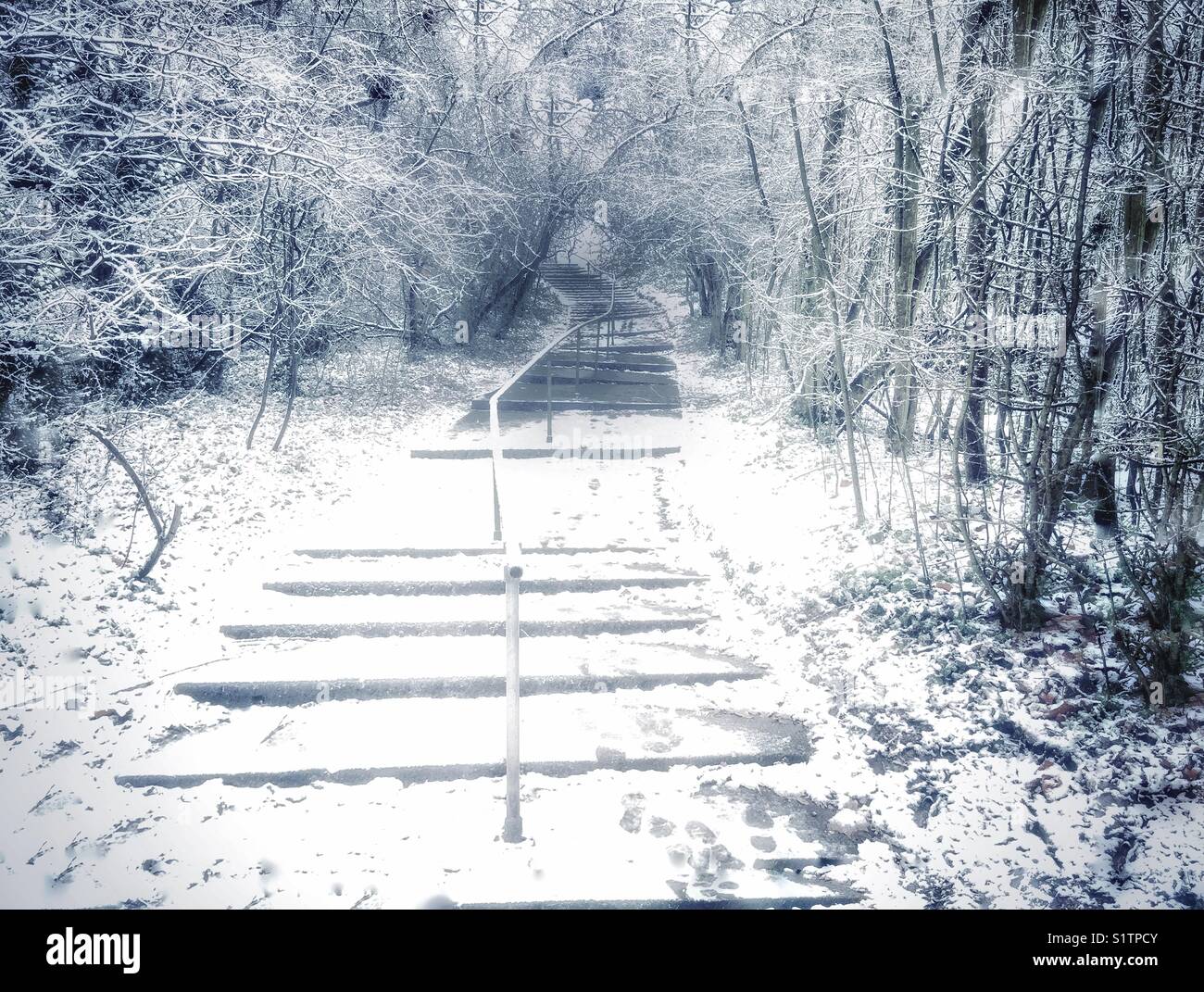 Snow covered steps in One Tree Hill, London Stock Photo - Alamy