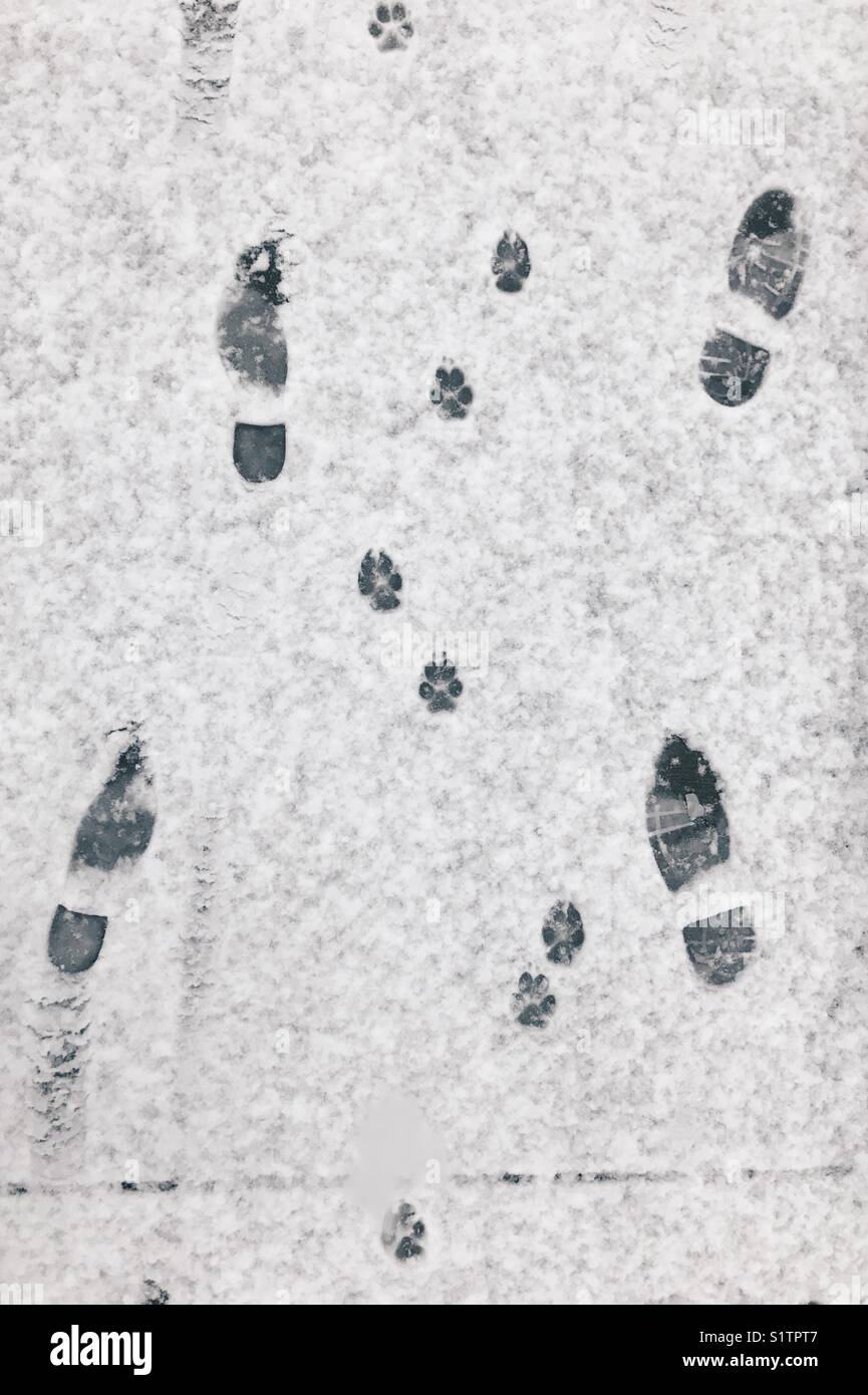 Human tracks hi-res stock photography and images - Alamy