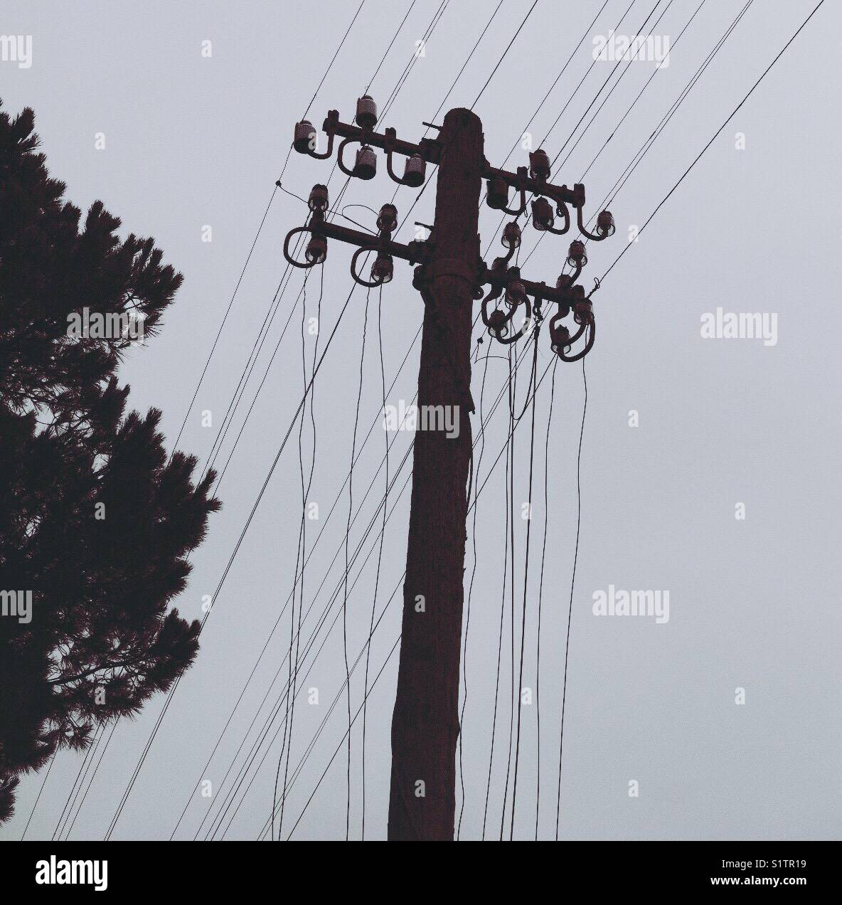 Telephone line pole hi-res stock photography and images - Alamy