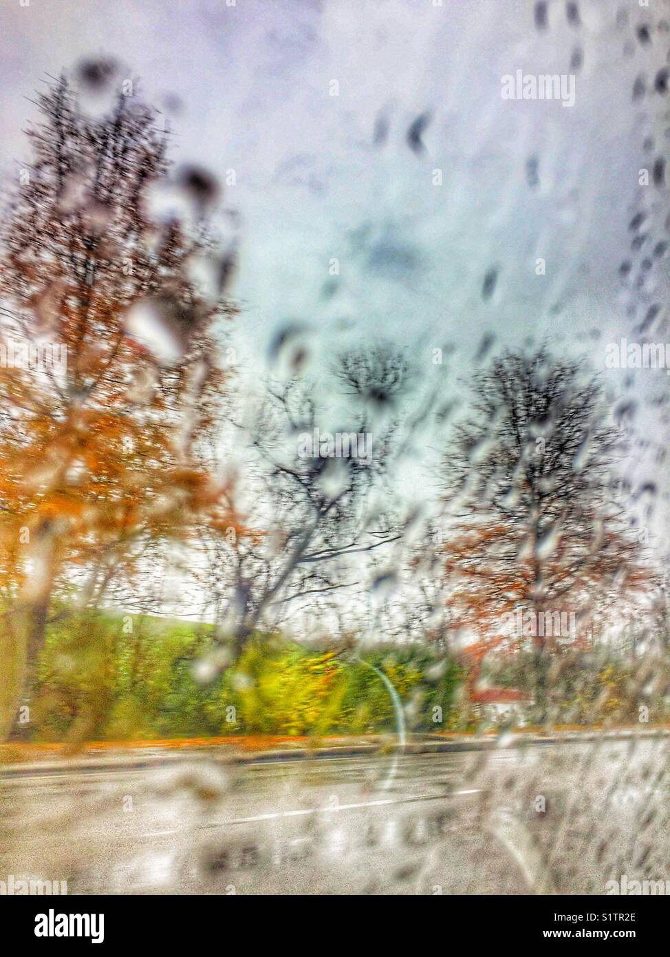 Window through the trees hi-res stock photography and images - Alamy