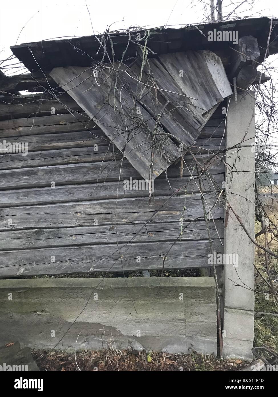 A dying village. Self-destroying wall of the building of wooden beams ...