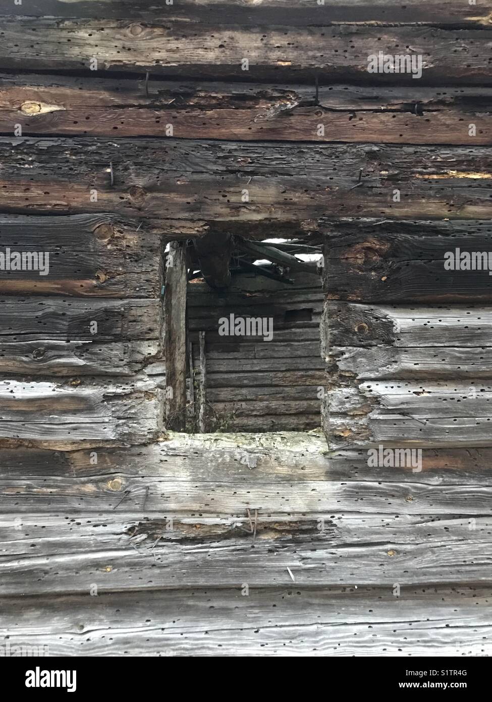 Old abandoned log cabin in hi-res stock photography and images - Alamy