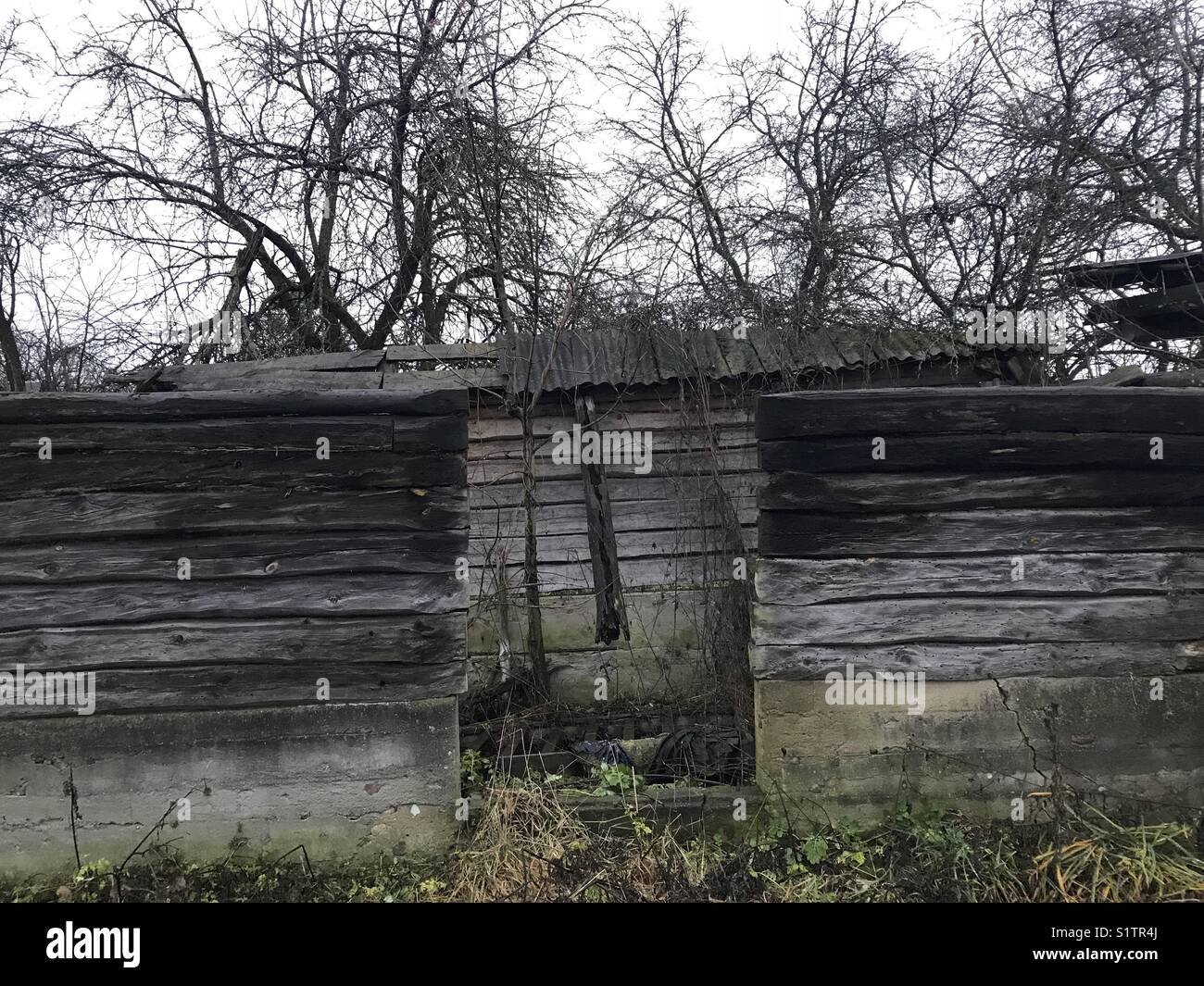 Old abandoned log cabin in hi-res stock photography and images - Alamy