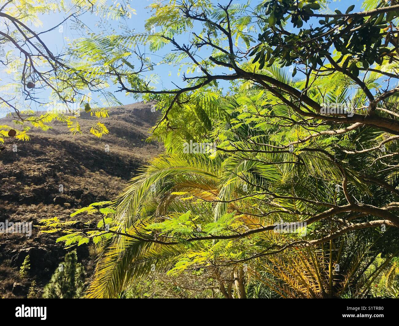 Nature in its glory Stock Photo - Alamy