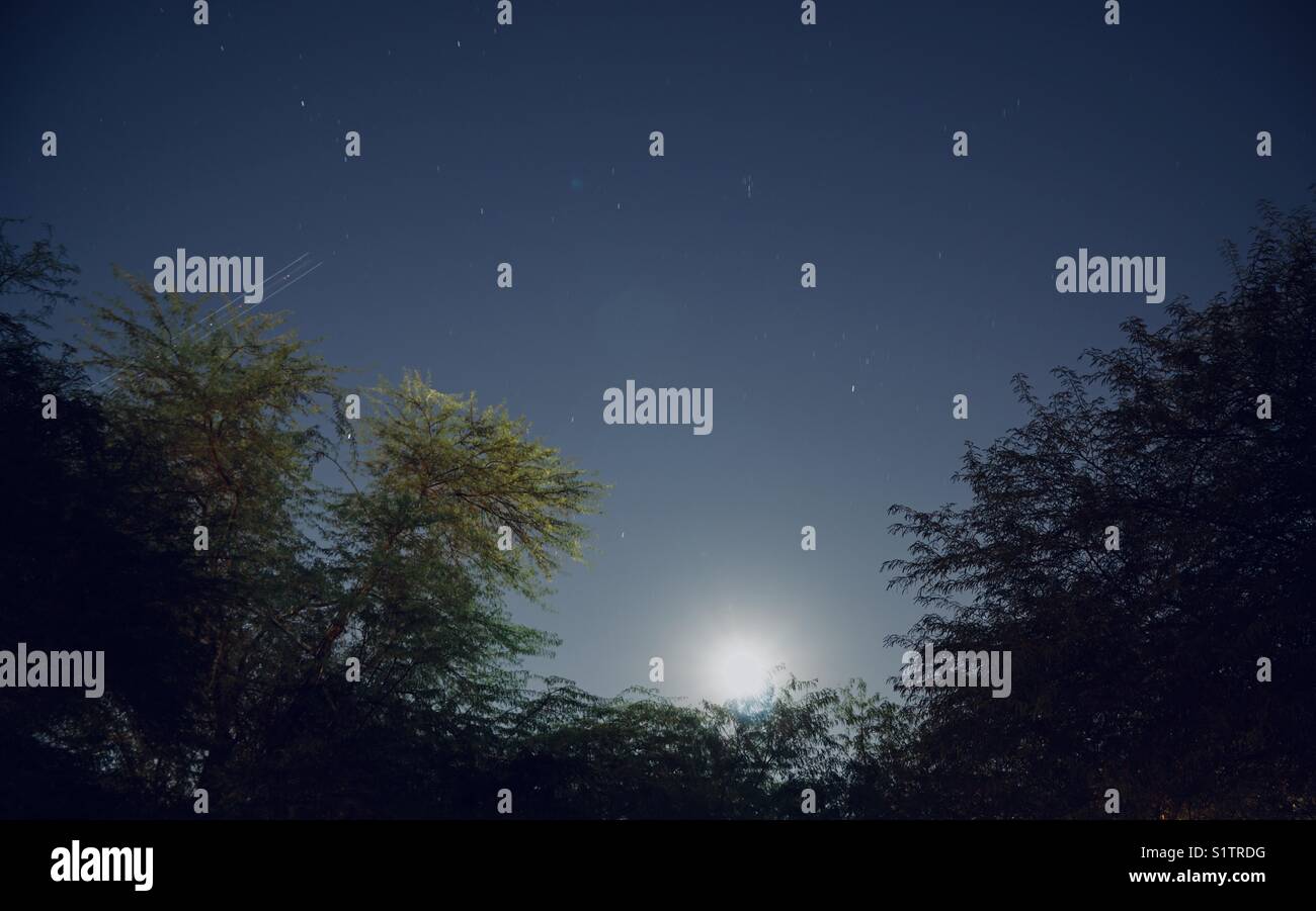 Stars night sky and moon hi-res stock photography and images - Alamy