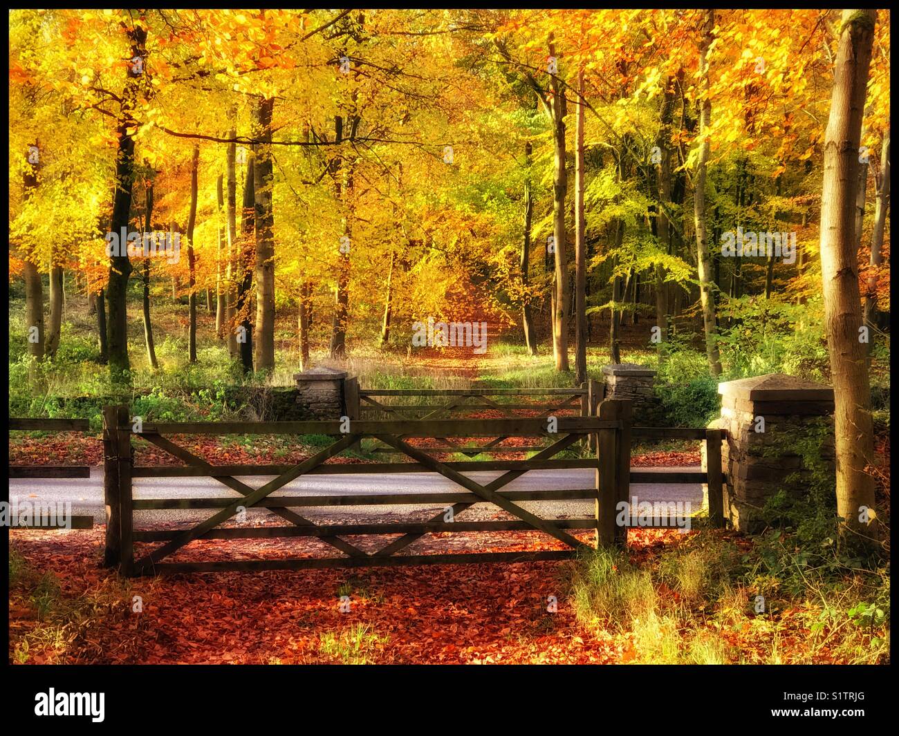 The view along the path, over the wooden gate, over the road, and over ...
