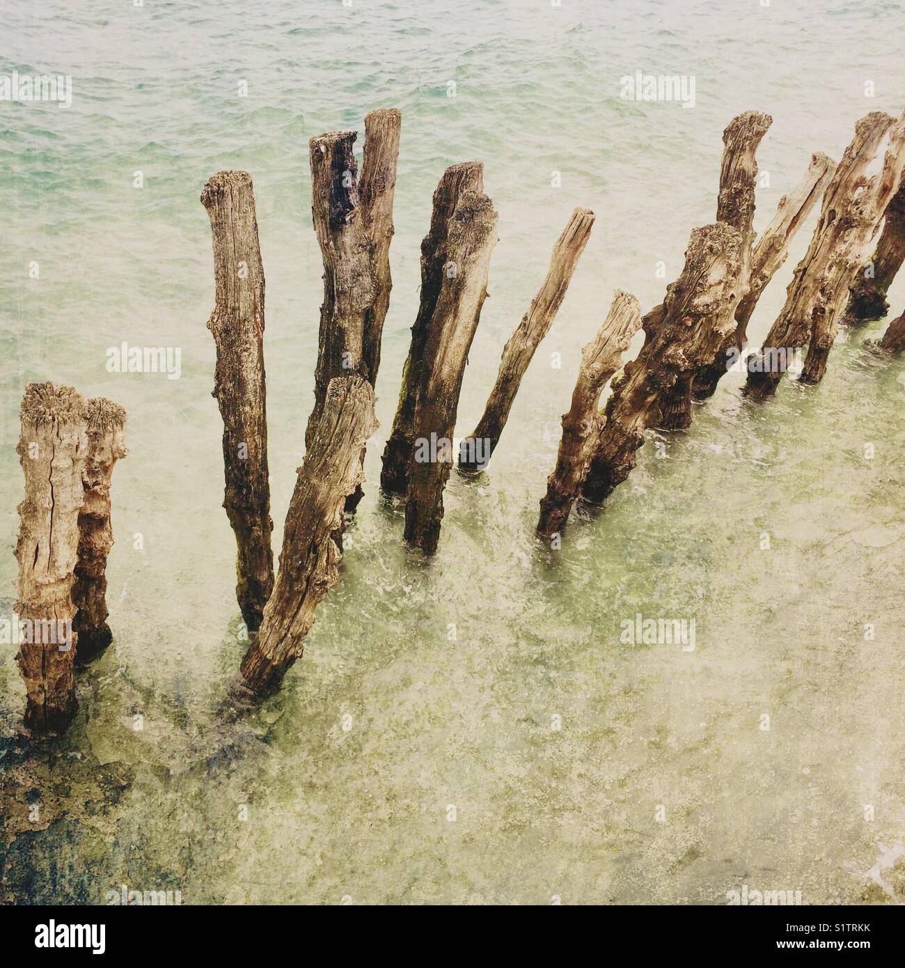 Log erosion barrier hi-res stock photography and images - Alamy
