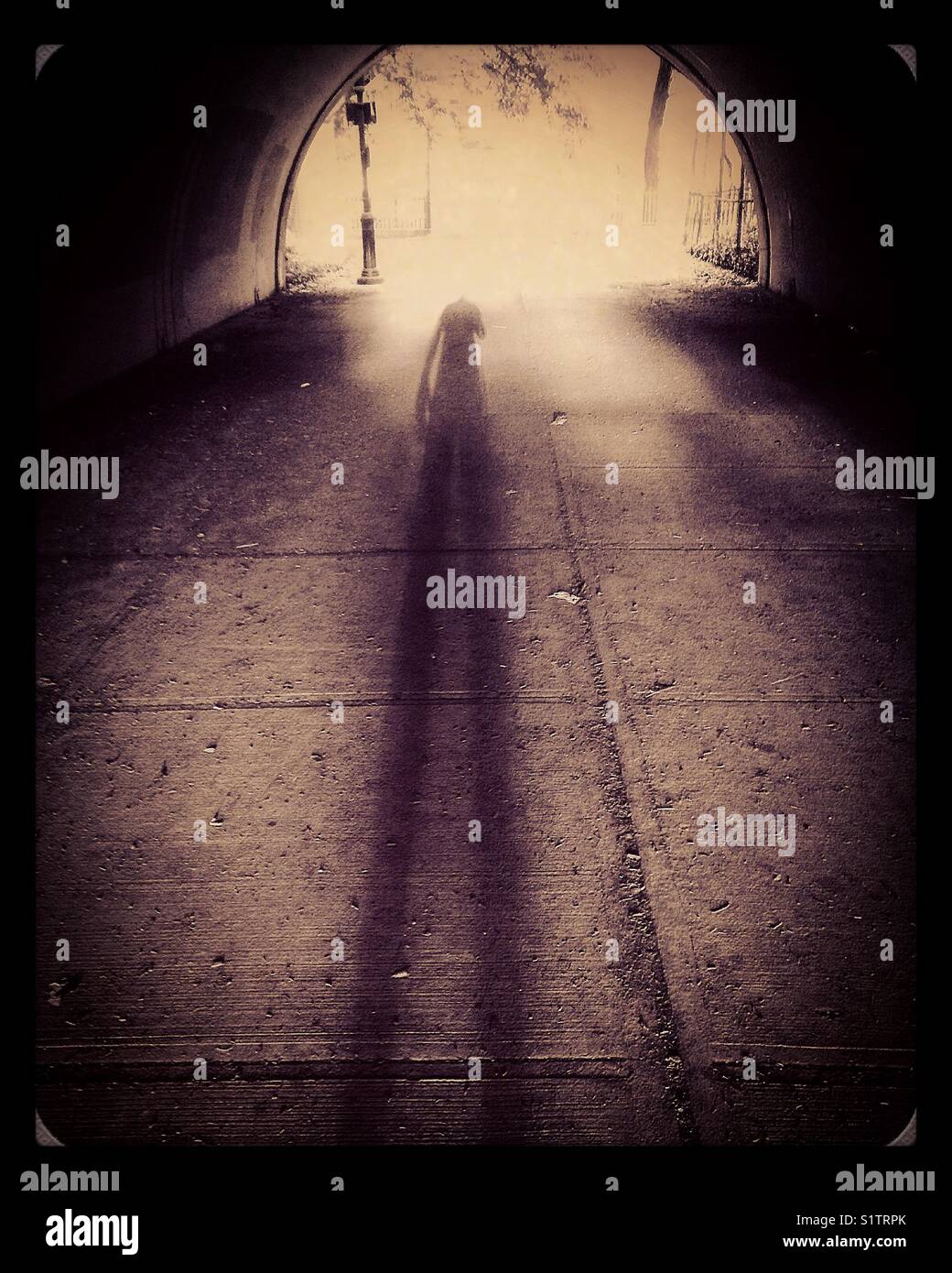 Shade picture hi-res stock photography and images - Alamy