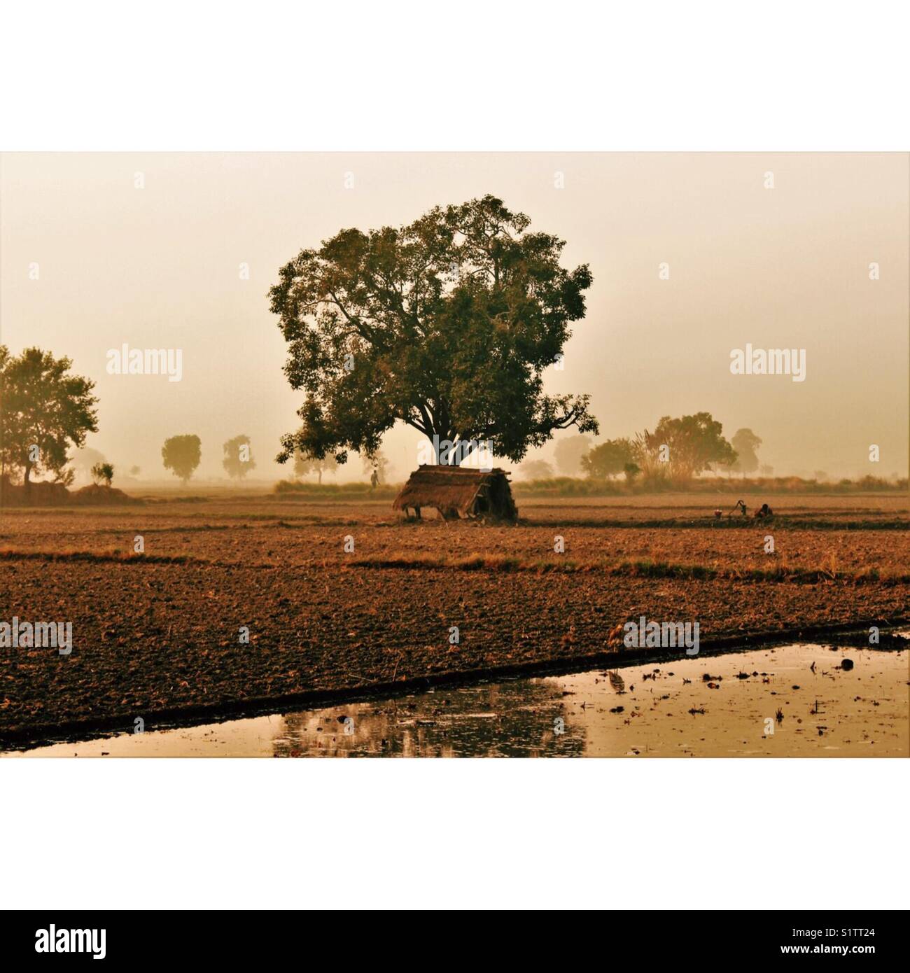 Village scenes hi-res stock photography and images - Alamy