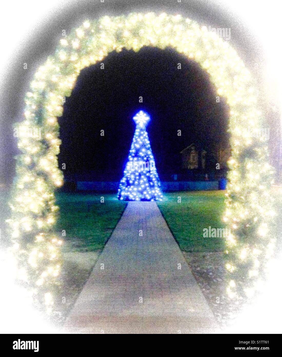 Misty outdoor Christmas tree lights Stock Photo - Alamy