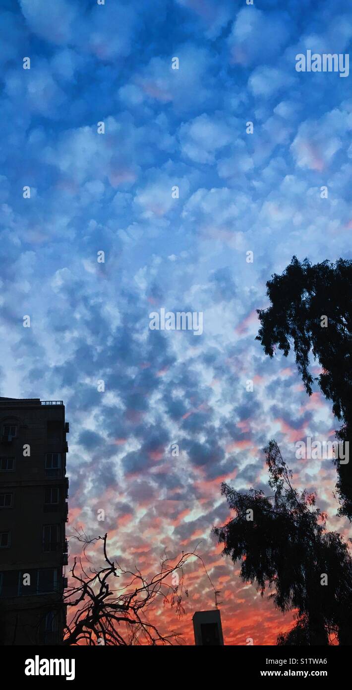 Cairo Red High Resolution Stock Photography and Images - Alamy