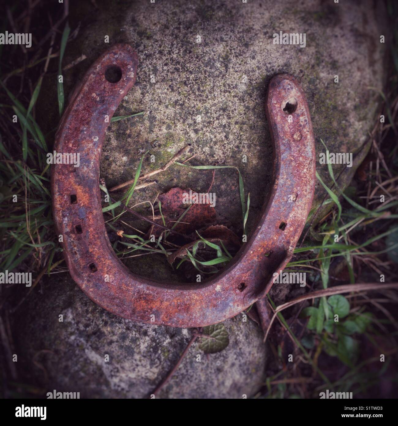 Good Luck Talisman High Resolution Stock Photography and Images - Alamy