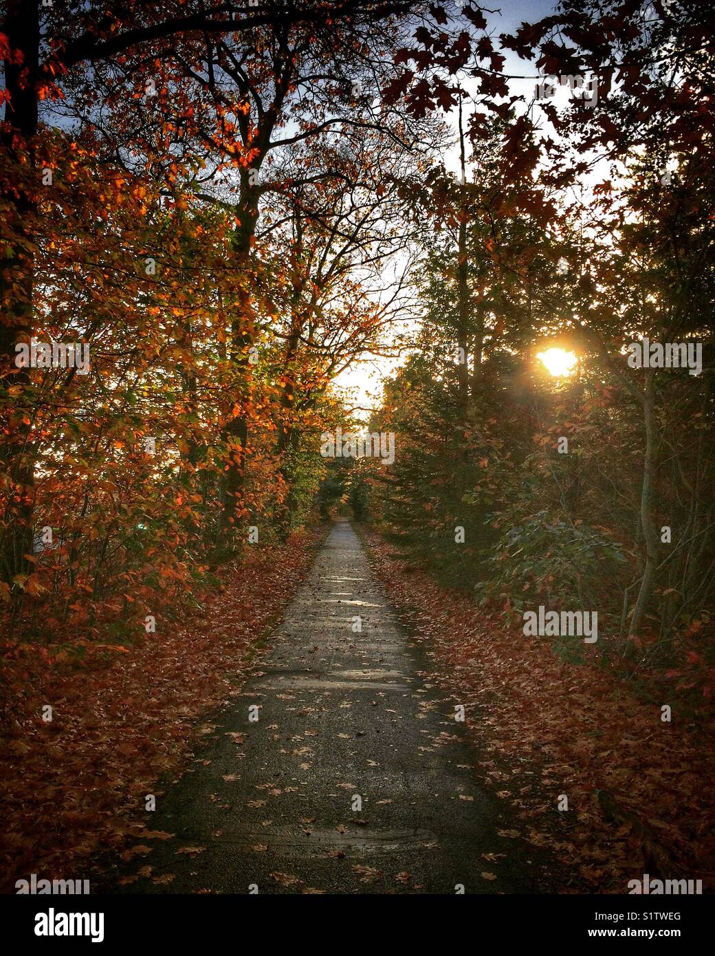 Cycling pathway hi-res stock photography and images - Alamy
