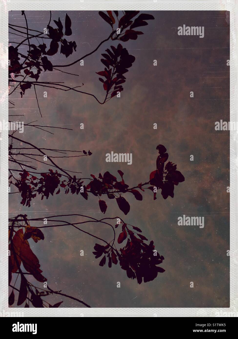 Warm mood hi-res stock photography and images - Alamy