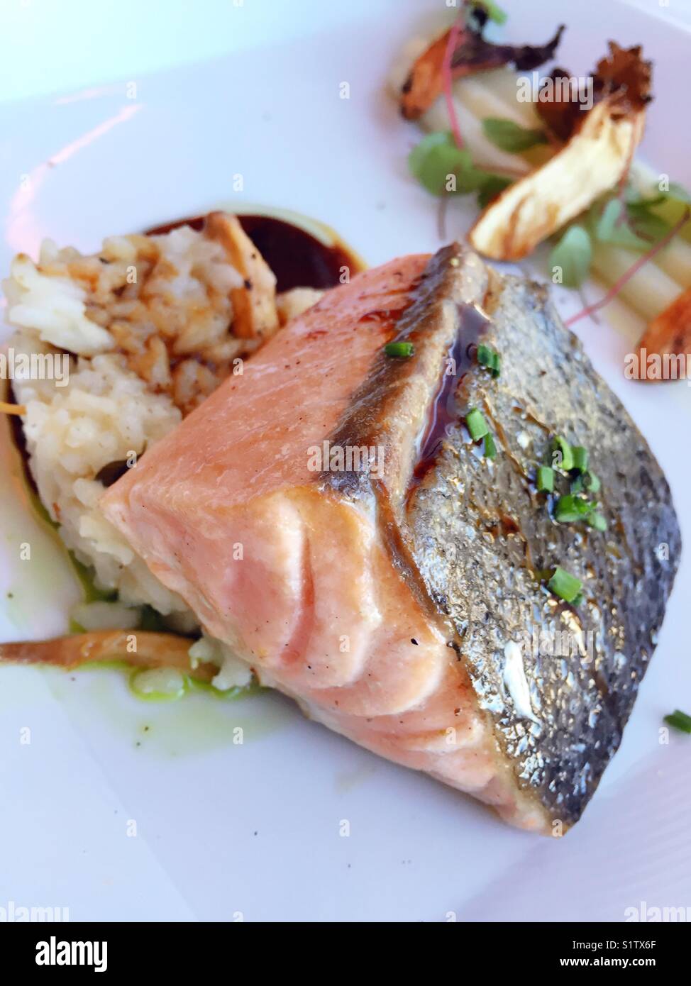 Gourmet Salmon