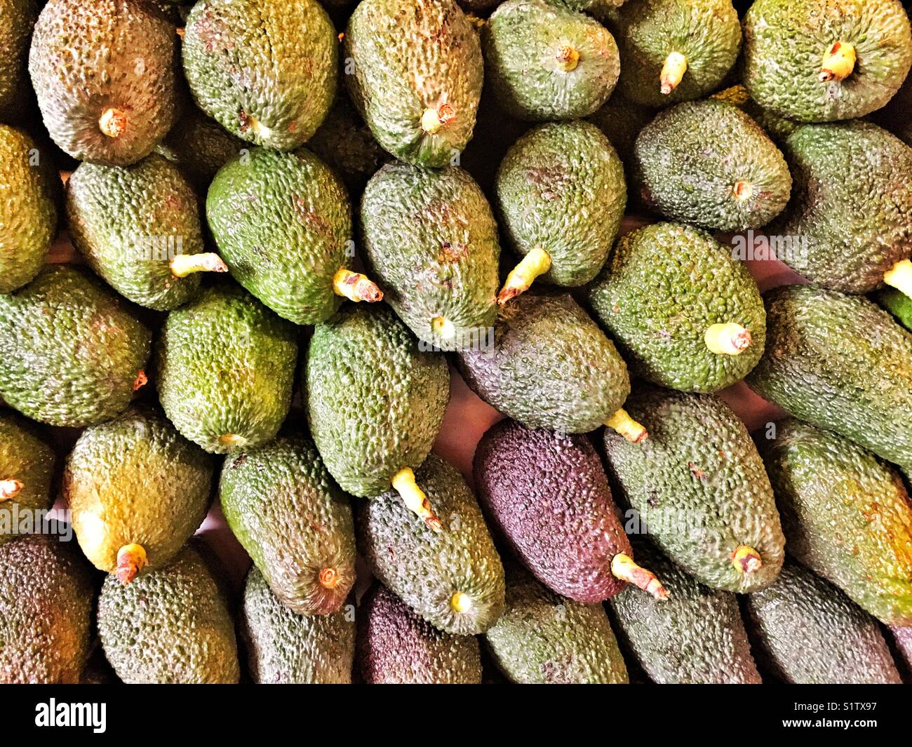 Avocados display spain hi-res stock photography and images - Alamy