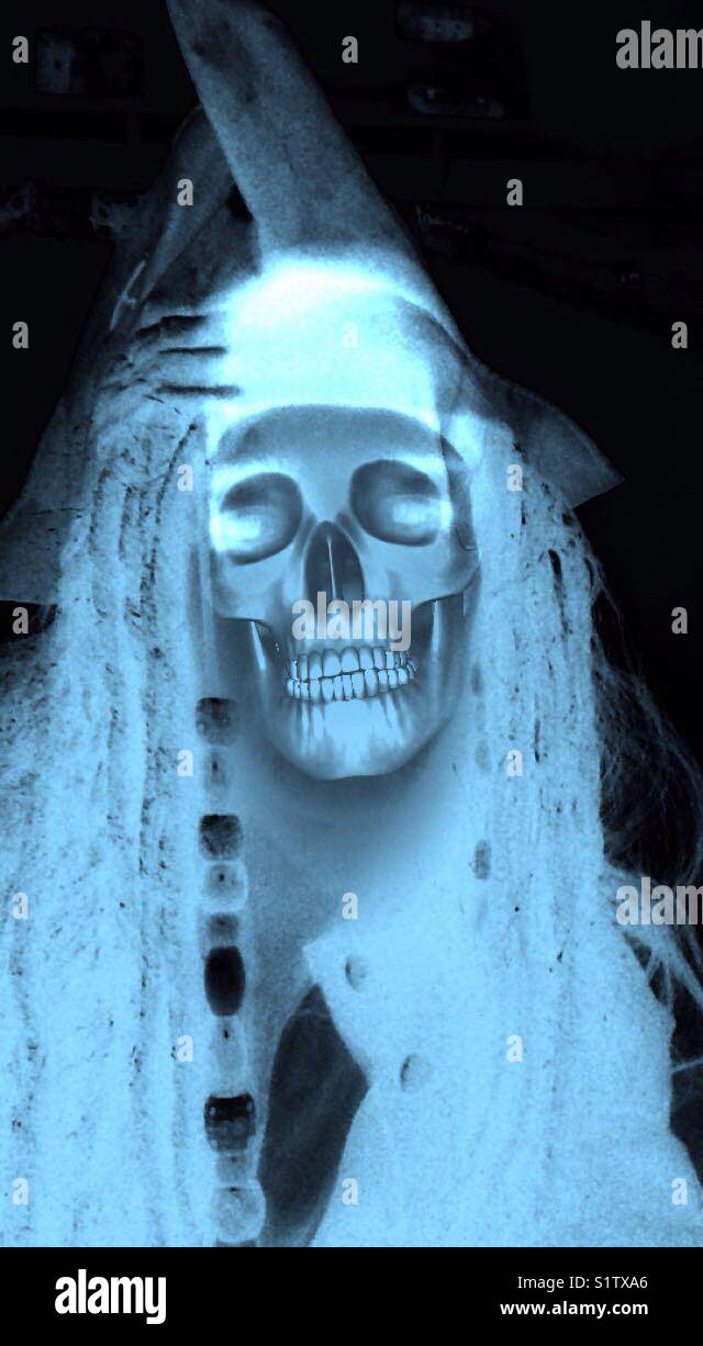 Jack sparrow skeleton hi-res stock photography and images - Alamy