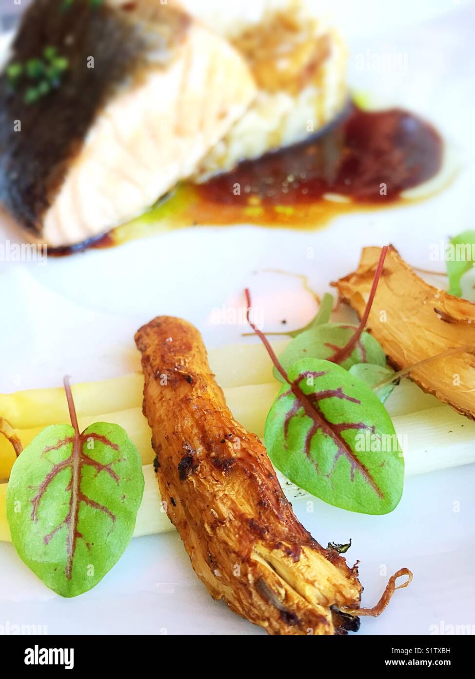 Roasted salmon entrée at upscale gourmet restaurant, New York City, USA ...