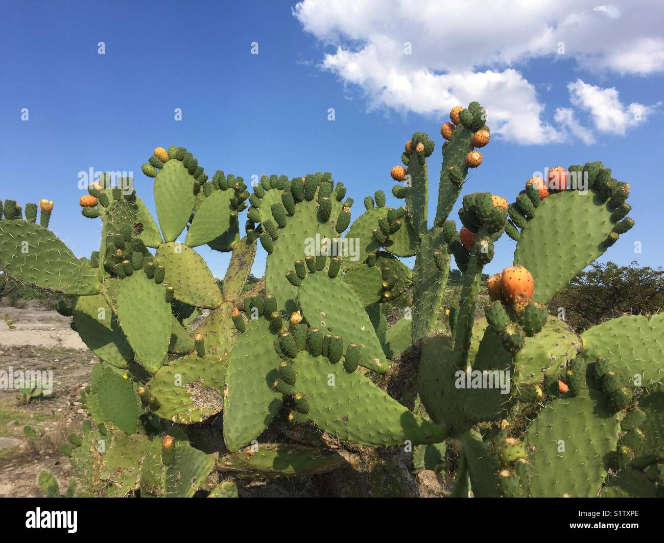 Peru photos hi-res stock photography and images - Alamy