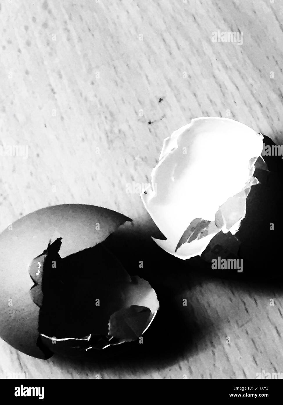 Egg egg shells hi-res stock photography and images - Alamy