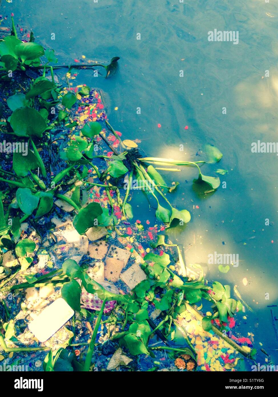 Trash in the River Stock Photo - Alamy