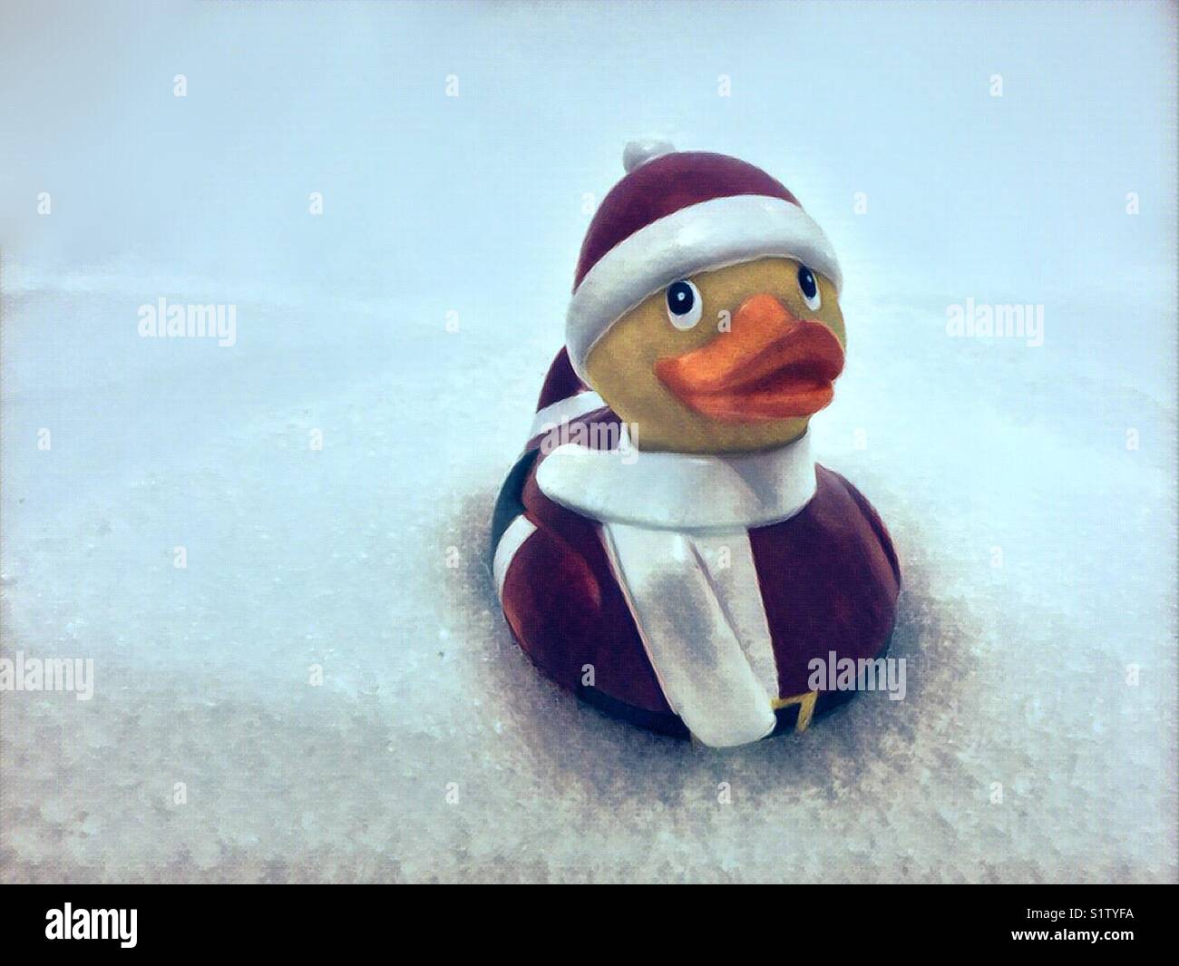 Santa toy duck hi-res stock photography and images - Alamy