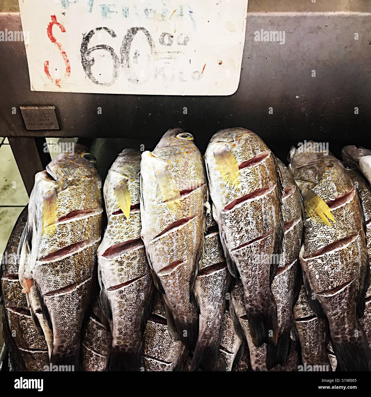 Ensenada mexico hi-res stock photography and images - Alamy