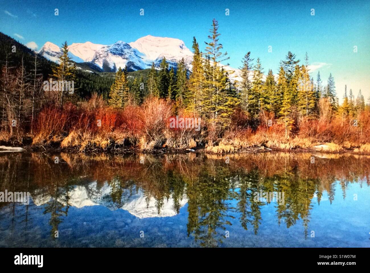 Roadside pond reflections Stock Photo - Alamy