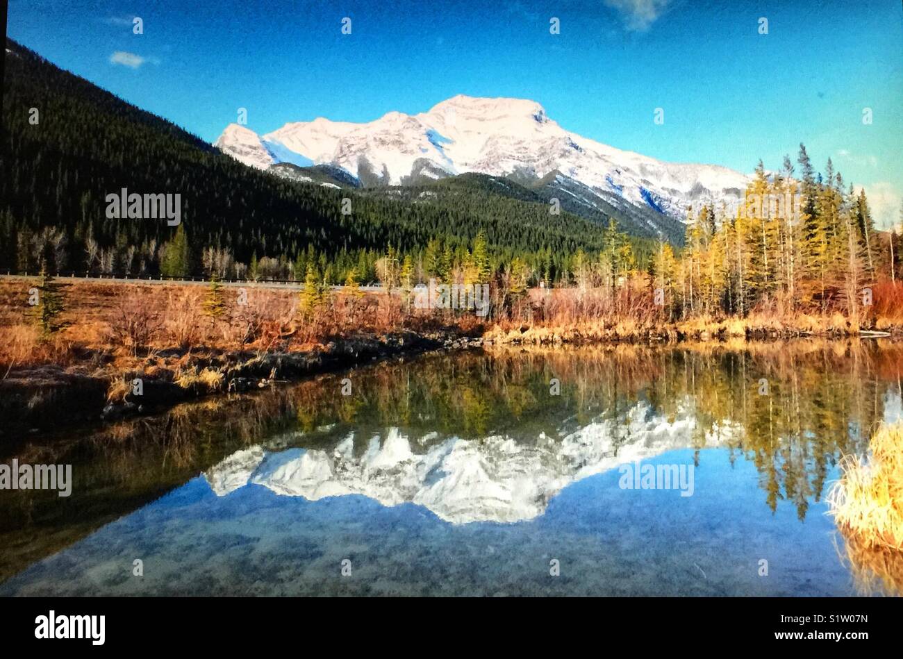 Pond reflections hi-res stock photography and images - Alamy