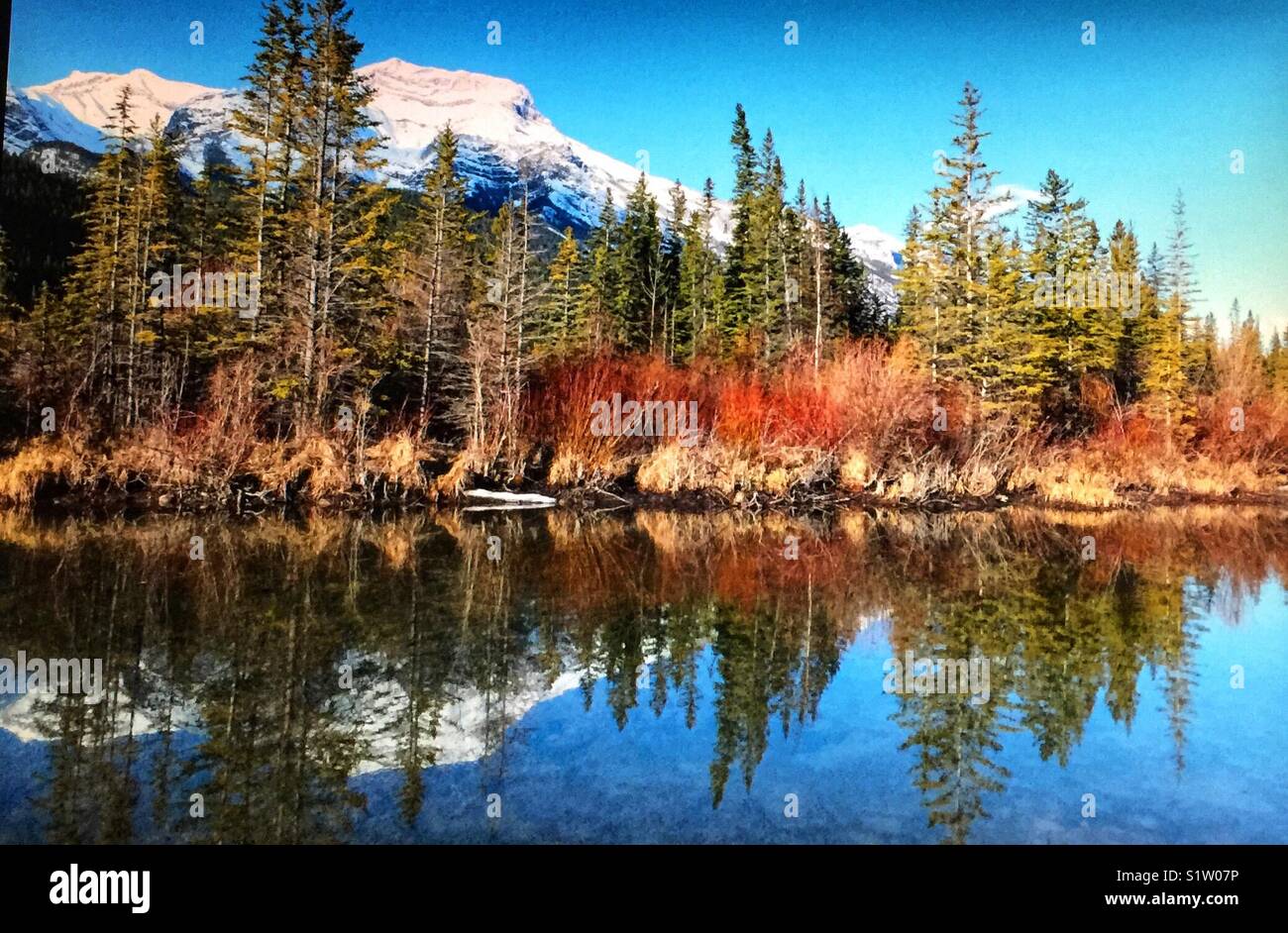 Roadside pond reflections Stock Photo - Alamy