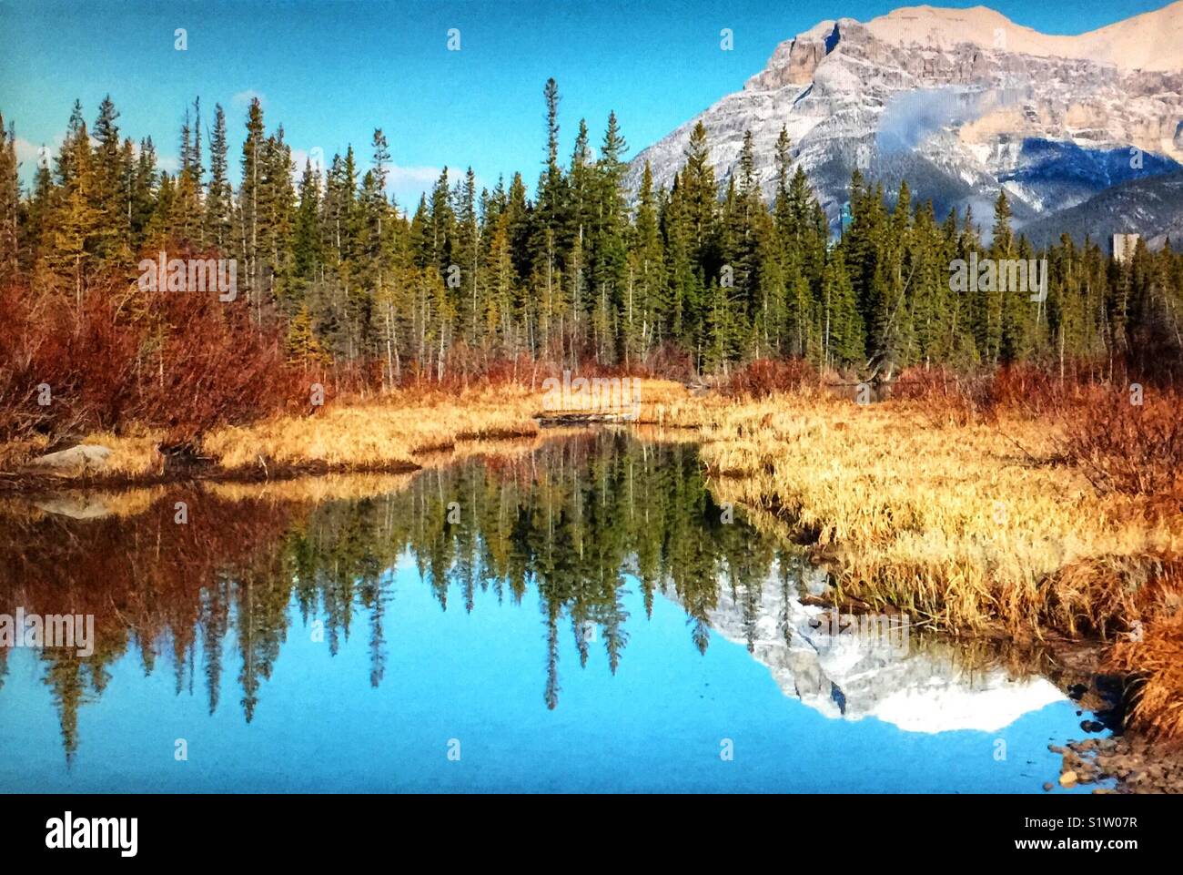Roadside pond reflections Stock Photo - Alamy