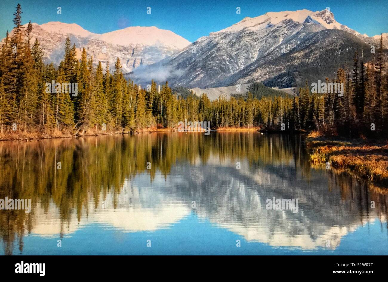 Roadside pond reflections Stock Photo - Alamy