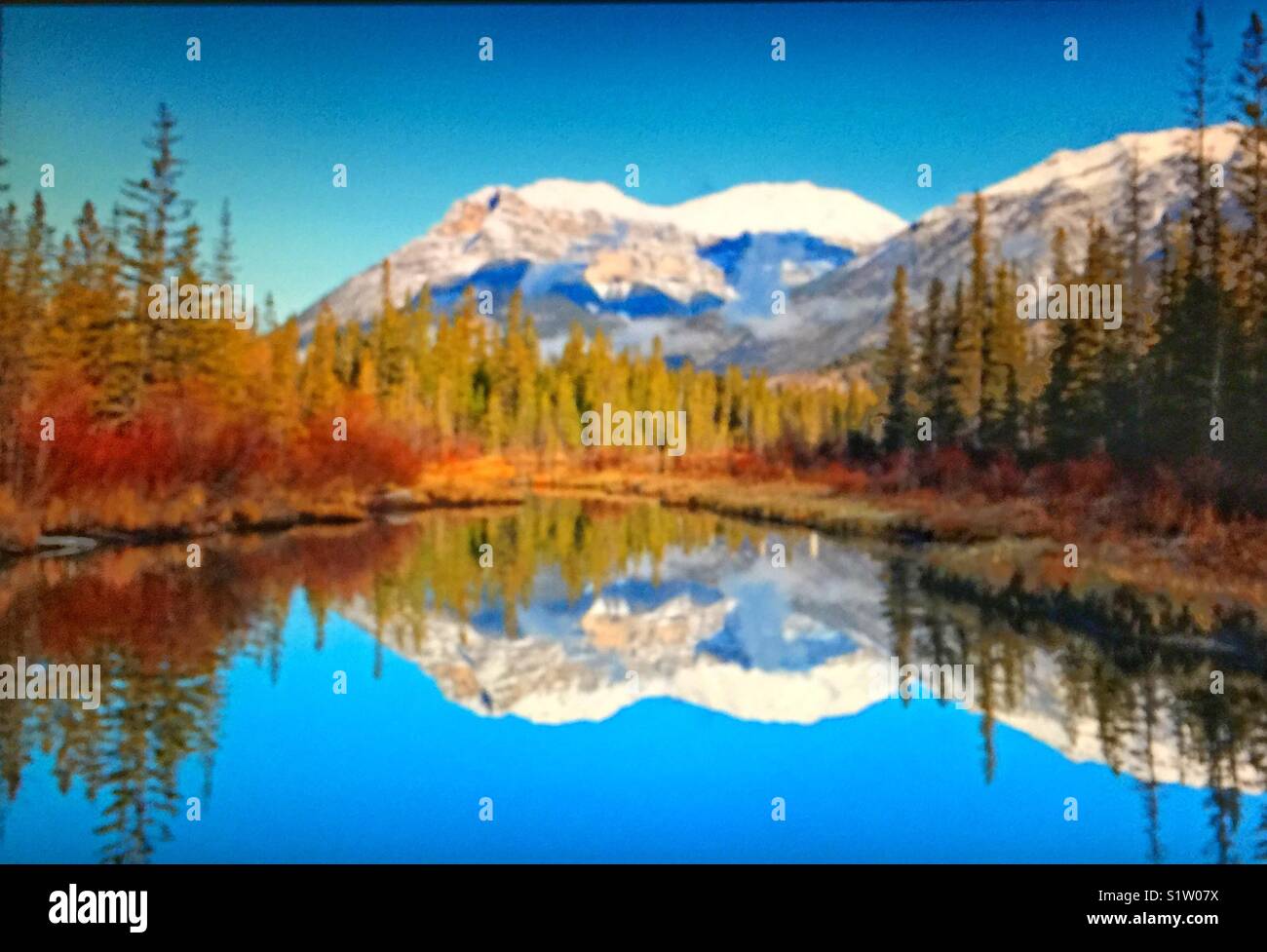 Roadside pond reflections Stock Photo - Alamy