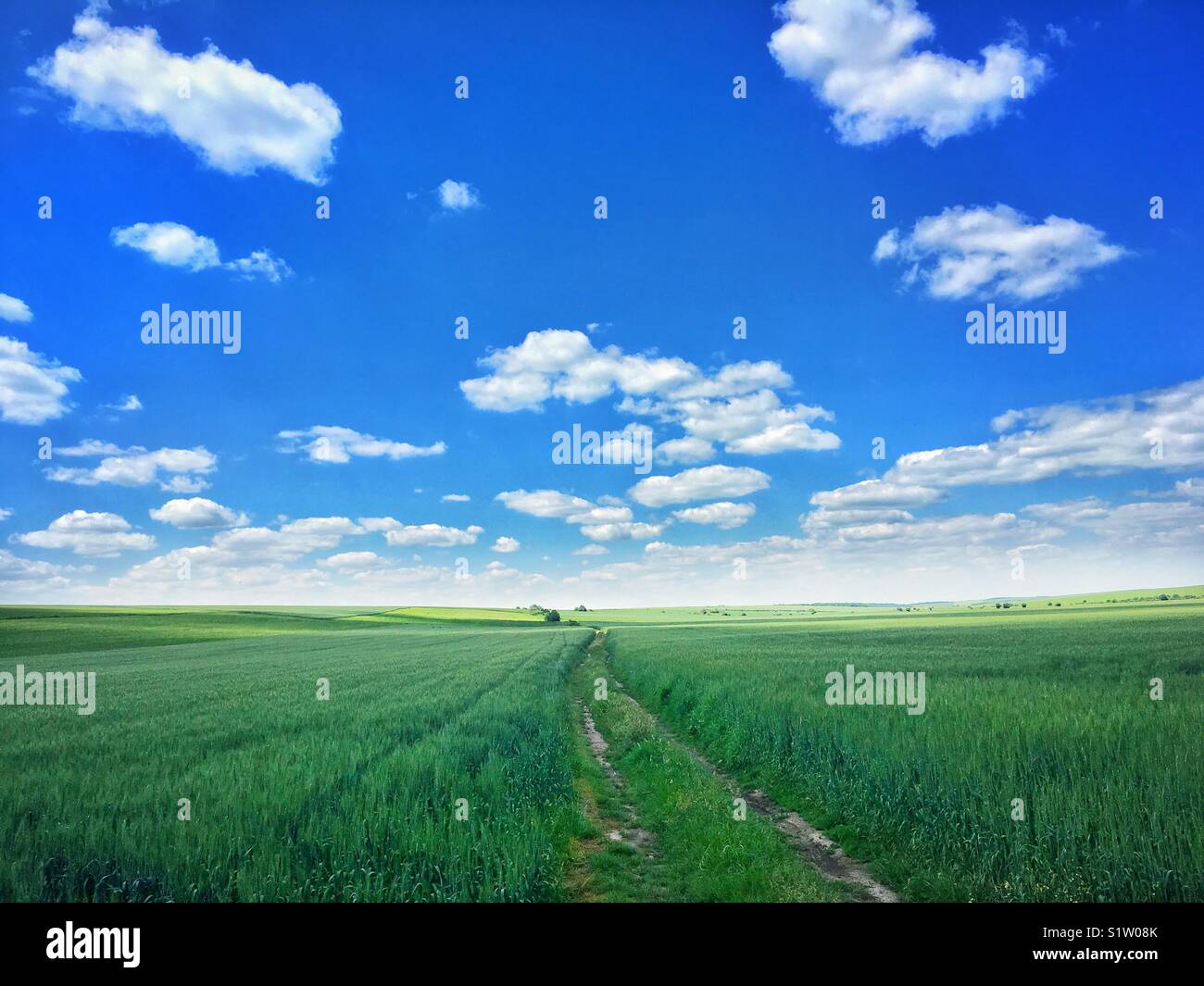 Ukrainian fields hi-res stock photography and images - Alamy